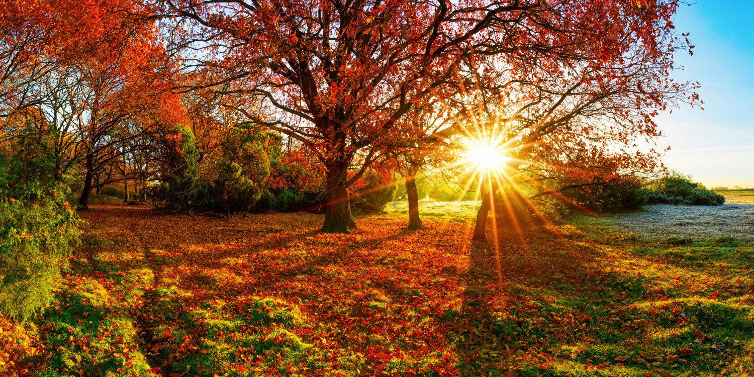 Embracing Sustainable Living this Autumn