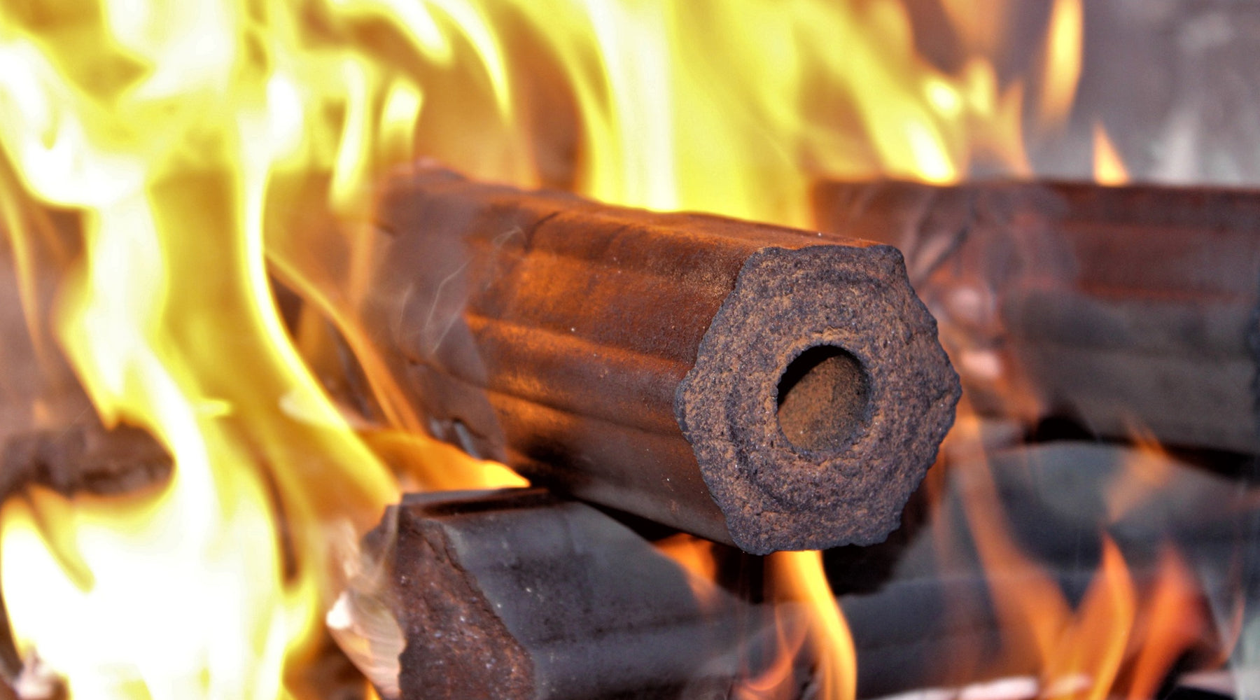 Why our Eco-Logs are Awesome! – Sustainable