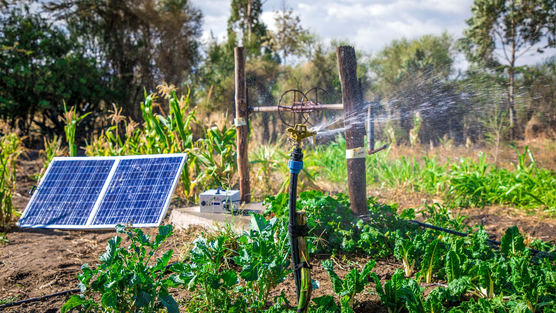 Solar Water Pumps | Solar Powered Pumps - Sustainable.co.za
